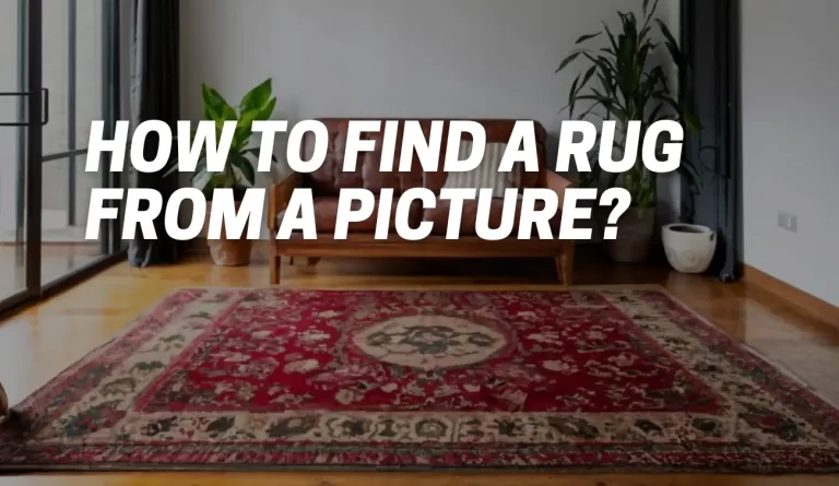 How To Find a Rug From a Picture? [The Identification] - CarpetsMatter