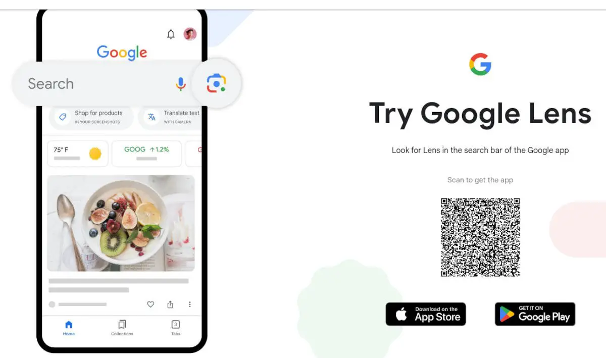 How To Find a Rug From a Picture? - CarpetsMatter